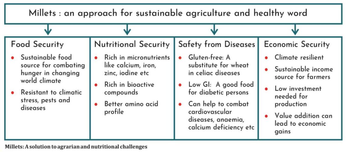 Millets: Recipe for environmental resilience