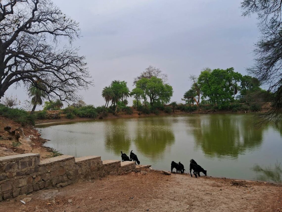 India's first 'Pani Pathshala' launched to boost water conservation ...