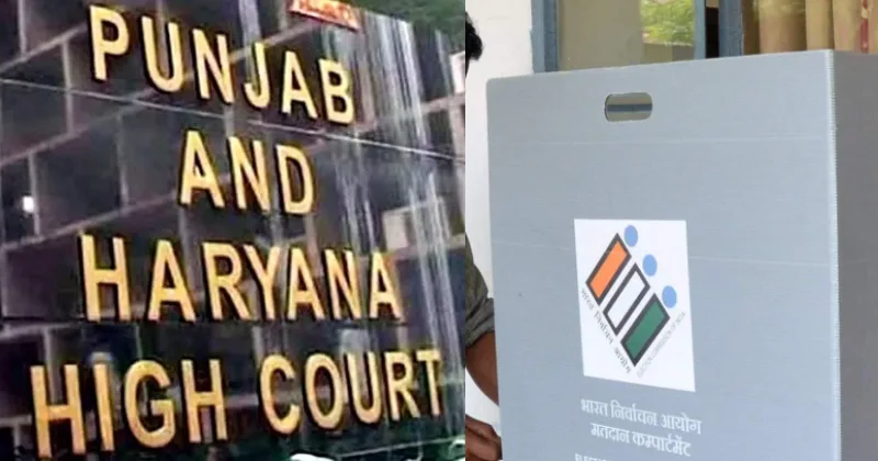Punjab and Haryana HC Dismisses PIL Against Ballot Paper Voting